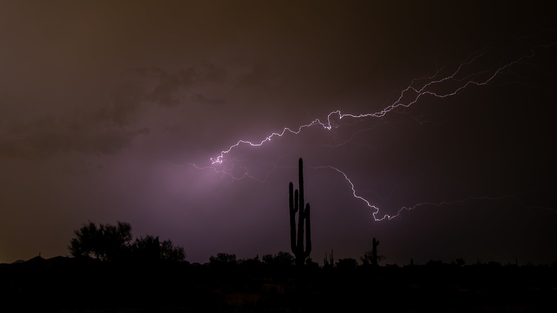 Arizona Midday from 12NEWS in Phoenix | Phoenix, AZ | 12news.com