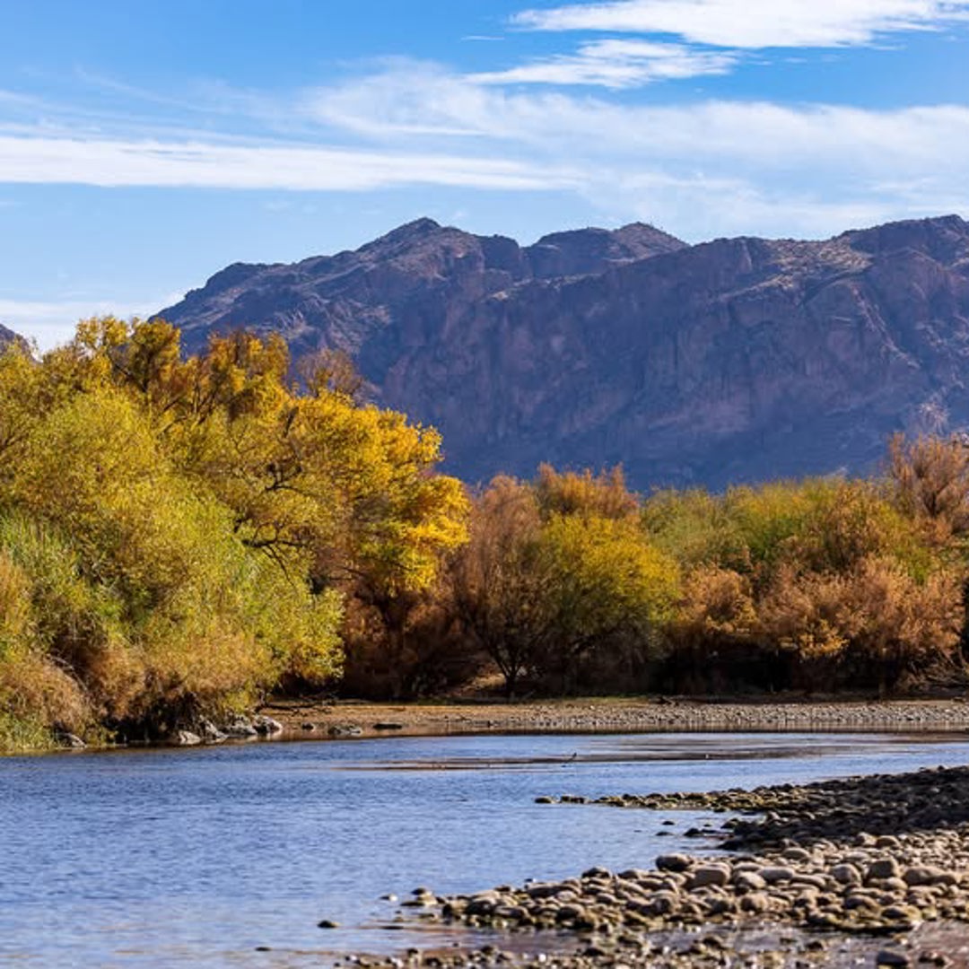 Discover Arizona's stunning fall foliage drives | 12news.com