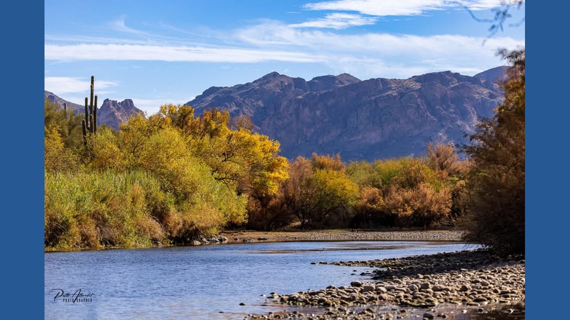 Discover Arizona's stunning fall foliage drives | 12news.com