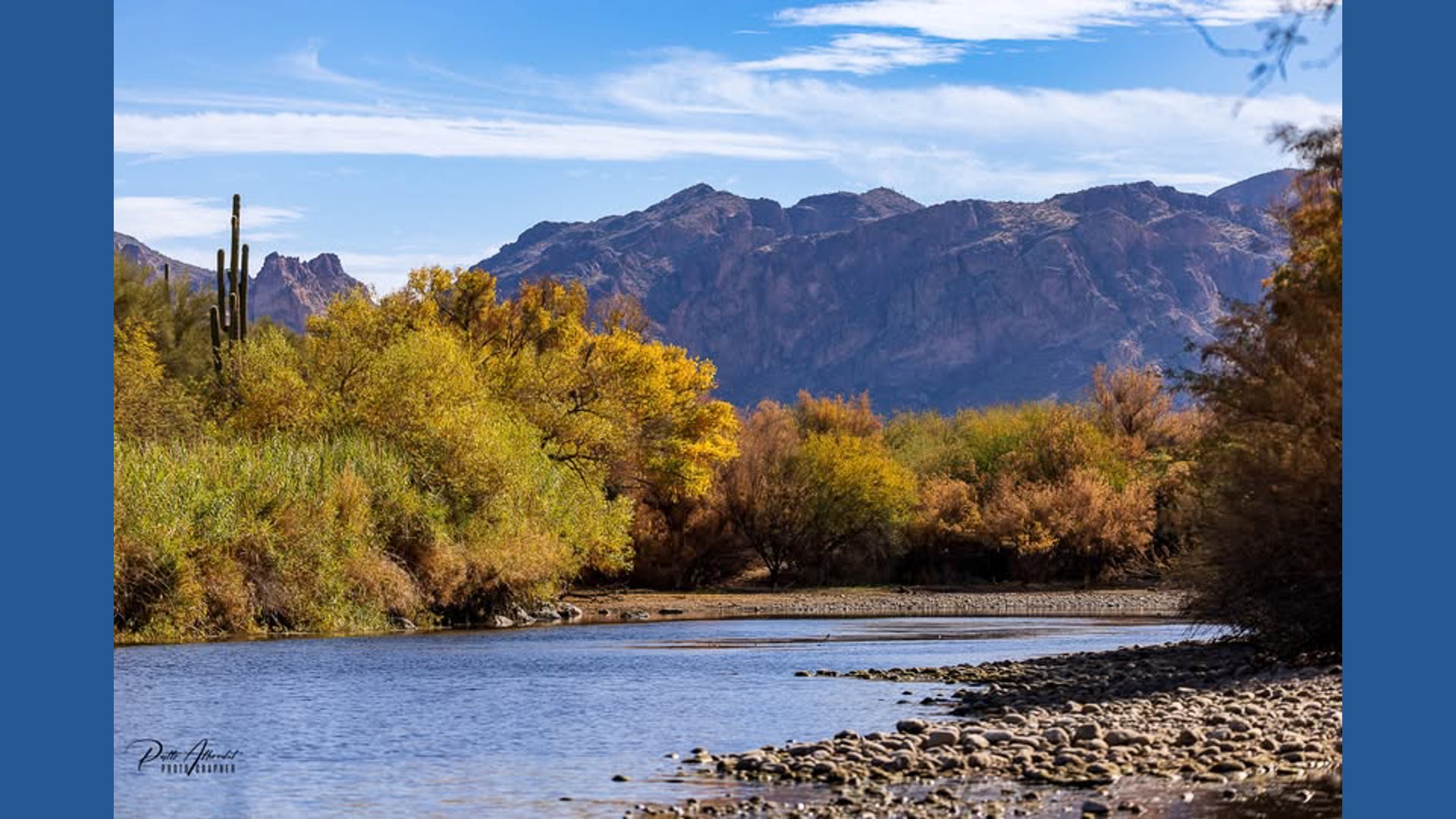 Discover Arizona's stunning fall foliage drives | 12news.com