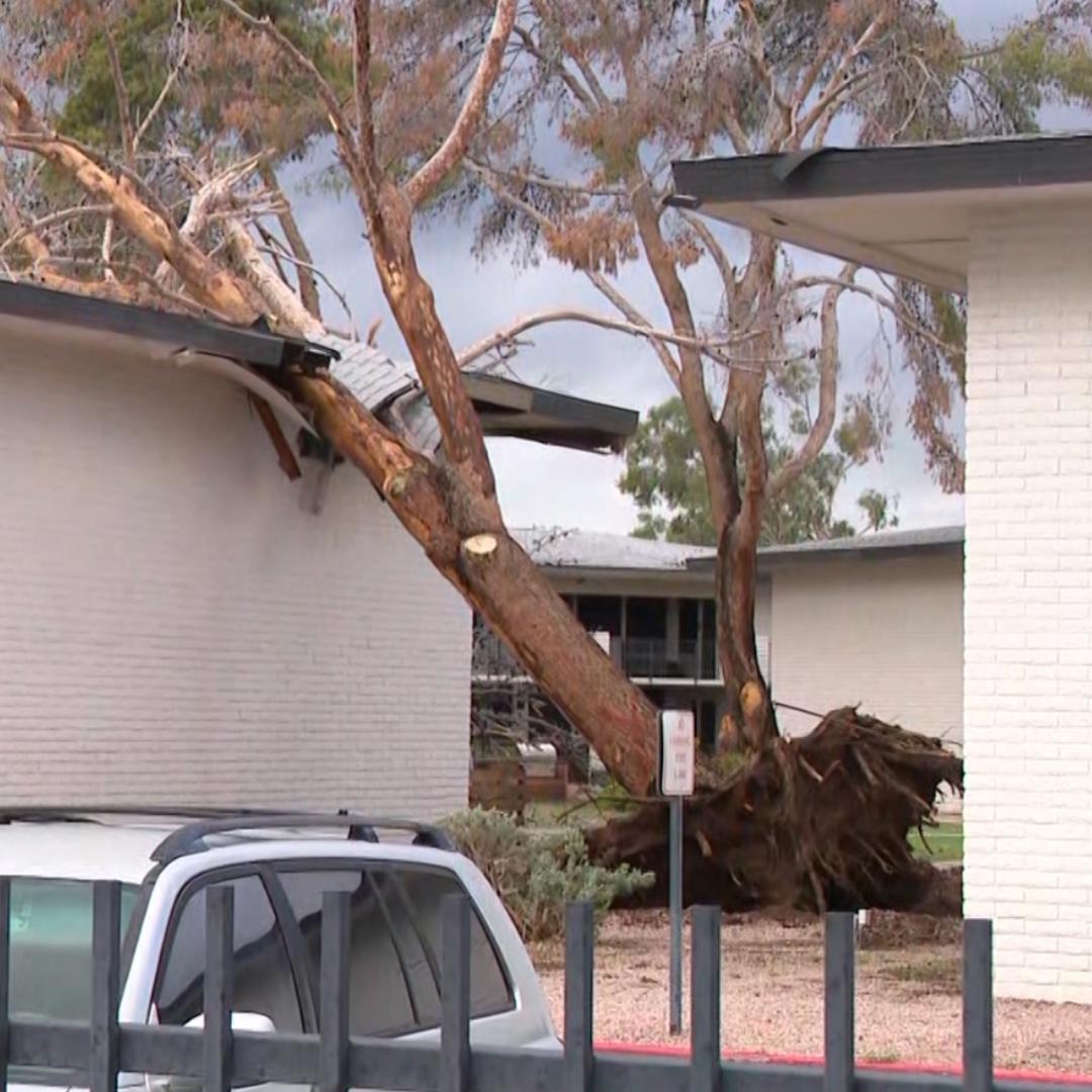 Power outages reported after Monday storms in Phoenix area | 12news.com