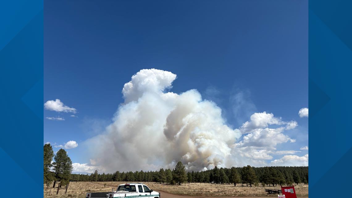 Northern Arizona sees prescribed burns for fire prevention | 12news.com