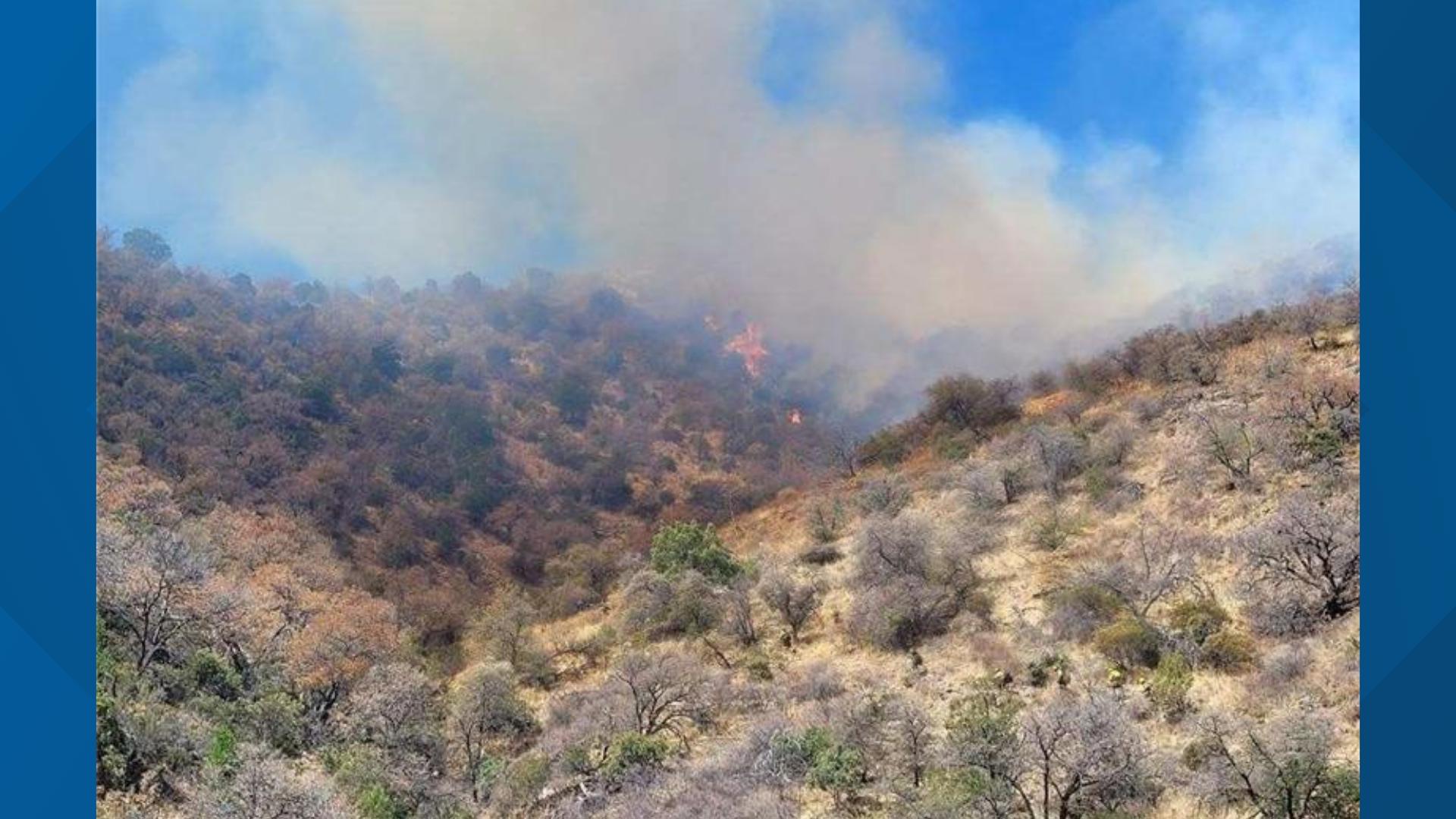 Mason Fire burning near Bisbee forces road closure | 12news.com
