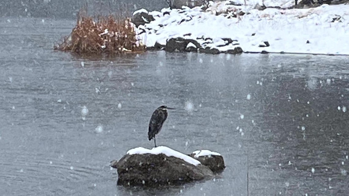 Snow continues in Northern Arizona Friday, Feb. 2 | 12news.com