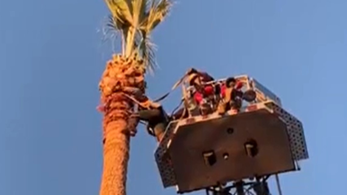 VIDEO: Phoenix firefighters rescue climber who got tangled atop 50-foot ...