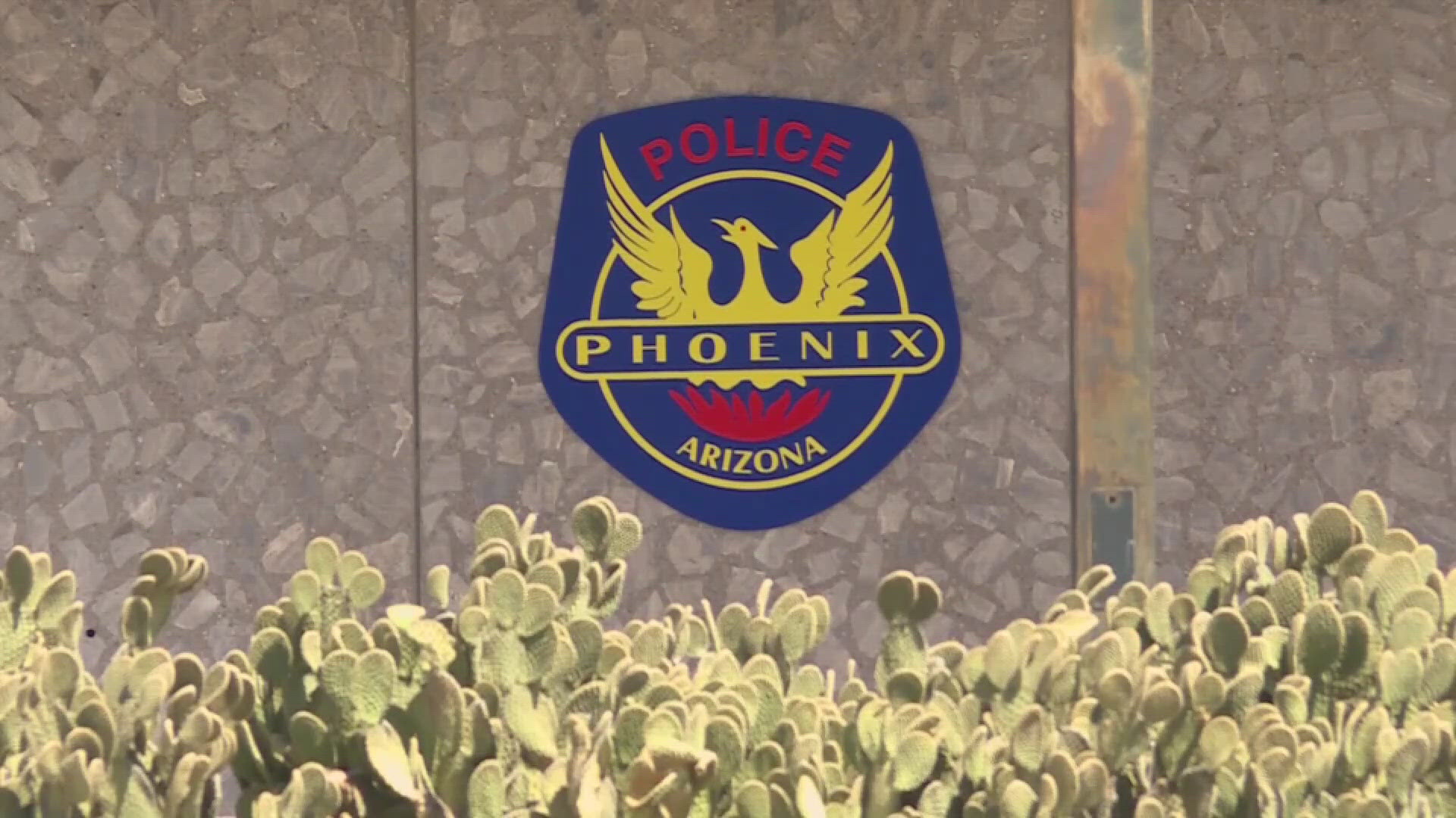 About 12NEWS in Phoenix | 12news.com