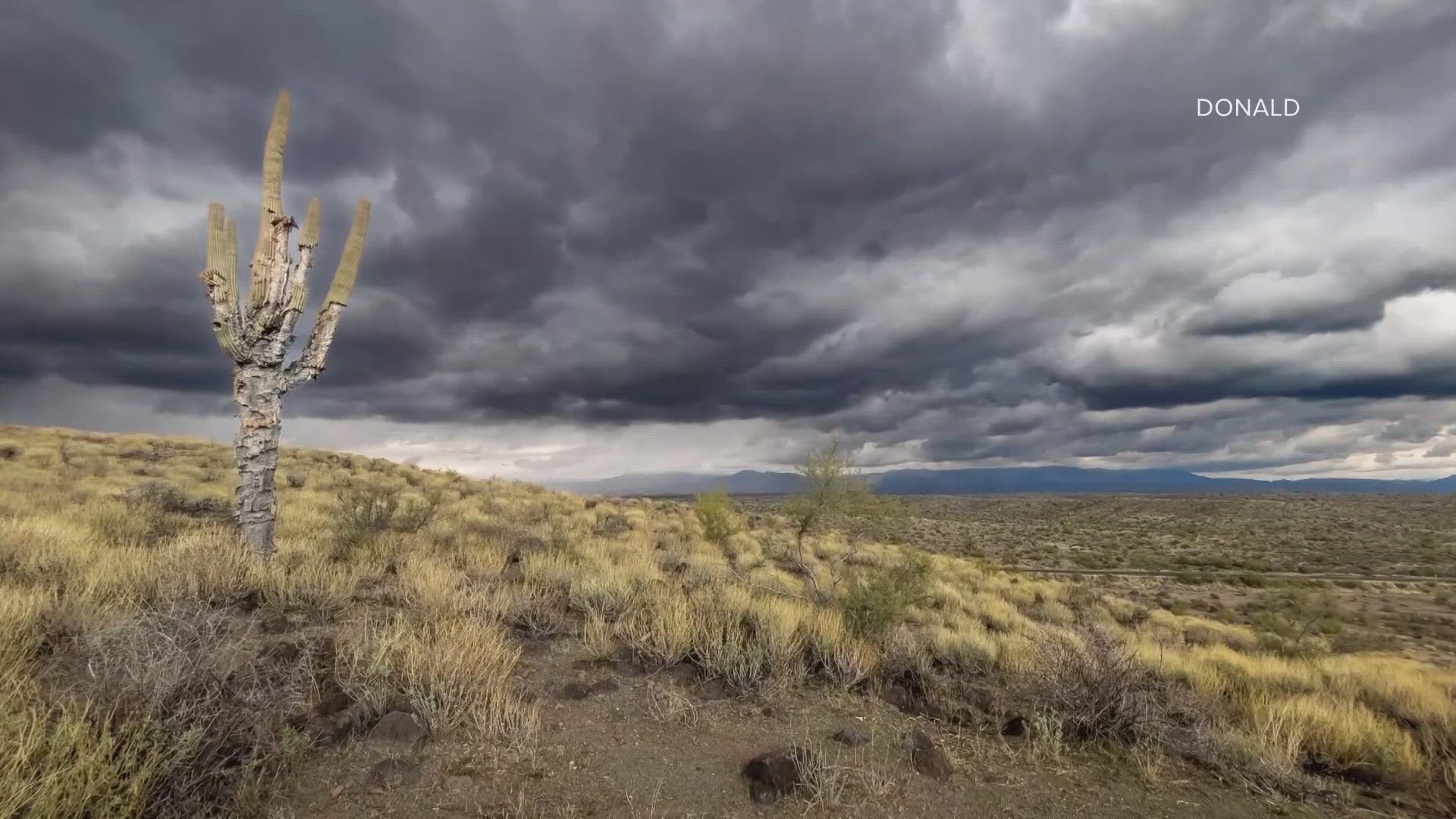 12News’ Weather Watchers capture monsoon magic in Arizona | 12news.com