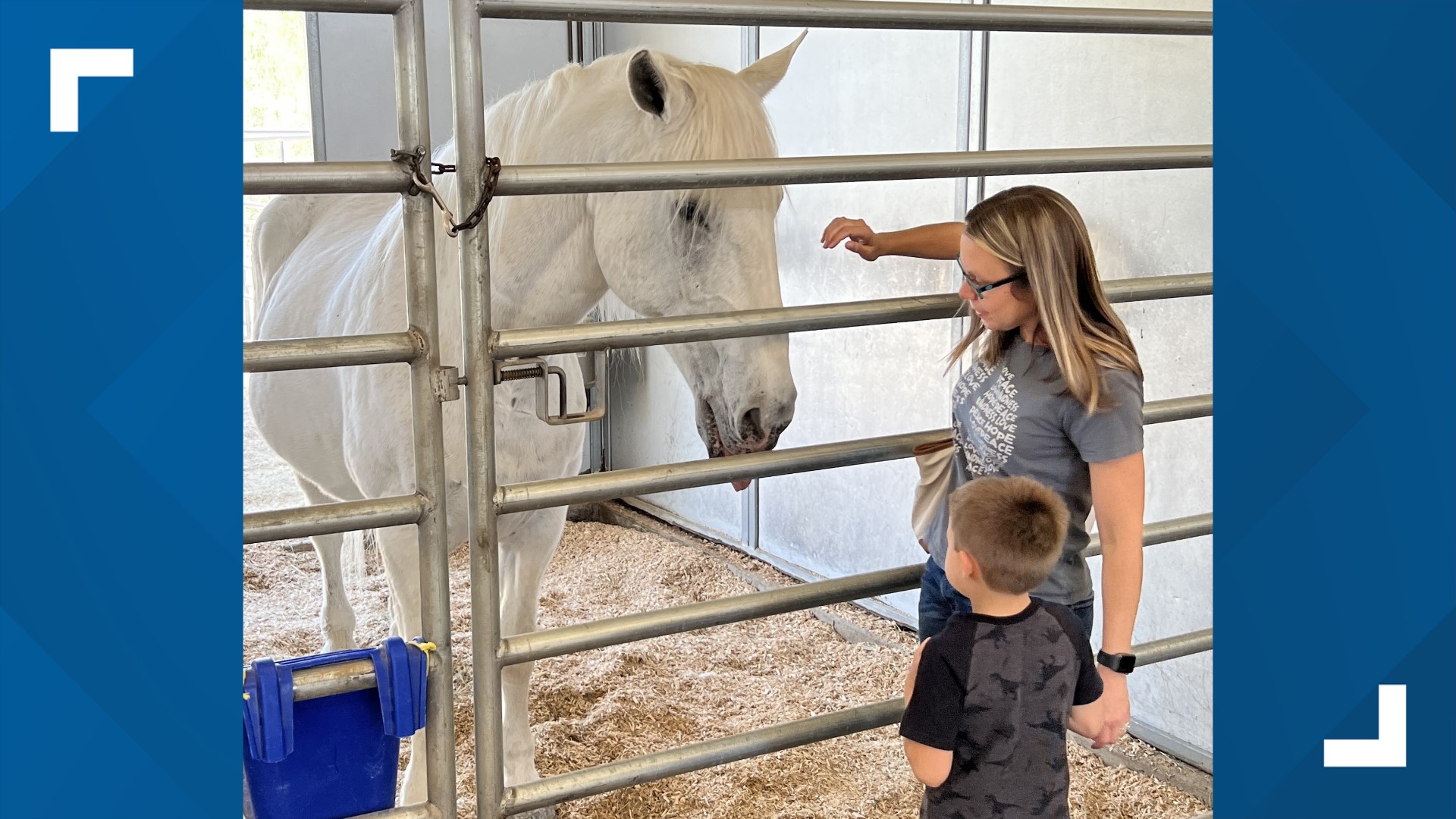 Scottsdale police horse gallops into retirement after 18 years | 12news.com
