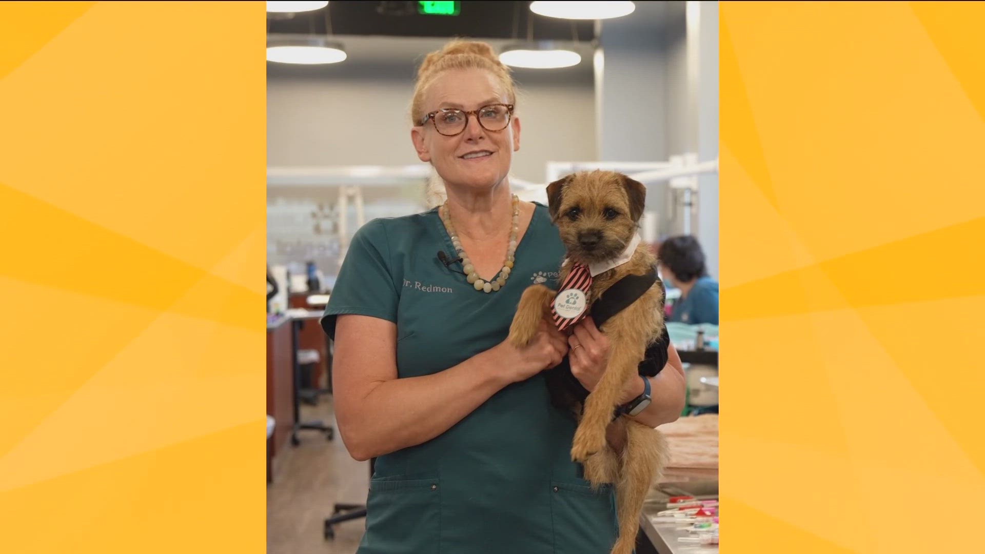 Sponsored: Pet Dental USA celebrates Women’s History Month | 12news.com