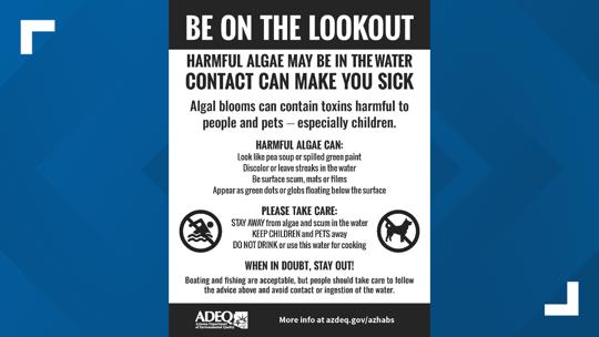 Algae bloom at Apache Lake harmful to humans, officials say | 12news.com