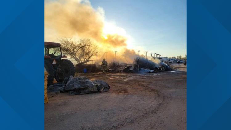 Several animals perish in Pinal County fire, officials say | 12news.com