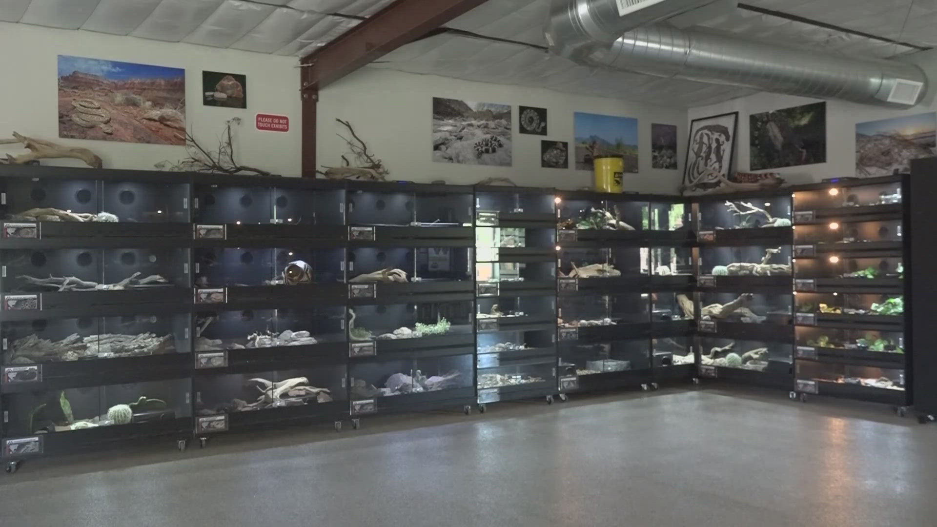 Visit Rattlesnake Ranch in Arizona for free on World Snake Day | 12news.com