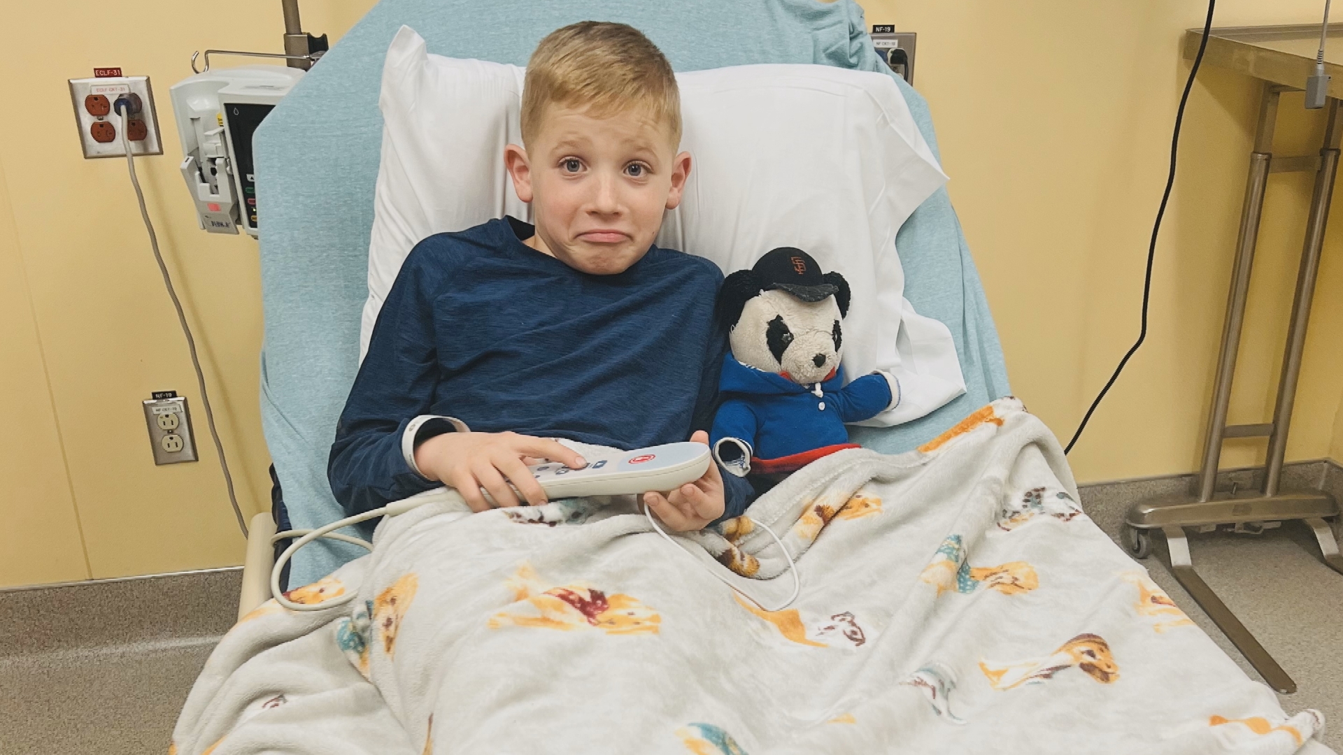 Boy's search panda stuffed animal lost in Phoenix airport | 12news.com