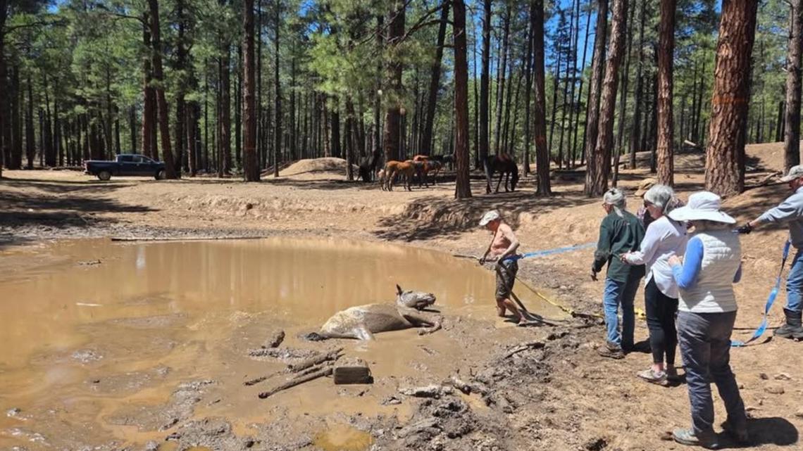 Congratulations! 12News anchor Emily Pritchard going on maternity leave ...