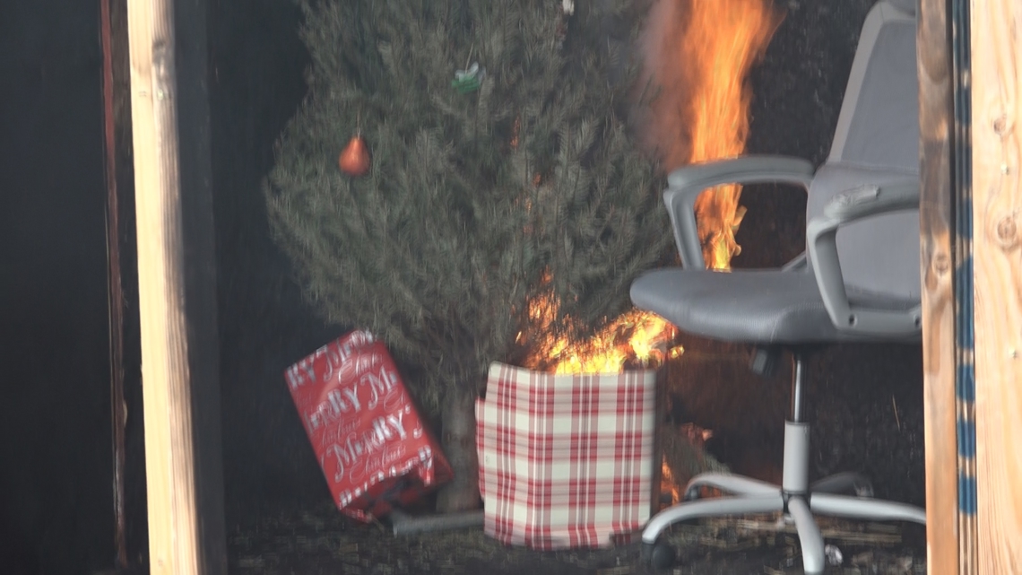 'Time to get them out': Dried out Christmas trees pose serious fire ...