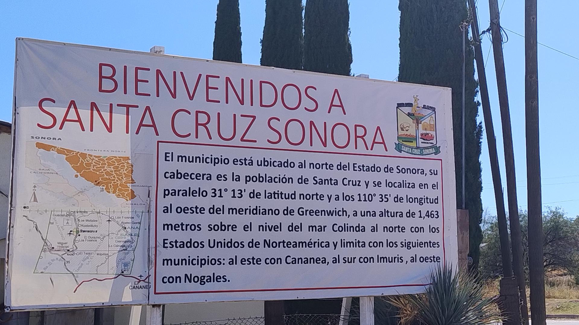 La siembra y cosecha de calabazas que se exportan a EE. UU. | 12news.com