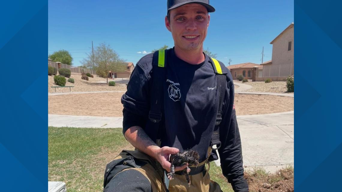 Video of Paul Bissonnette attack at Arizona restaurant released ...