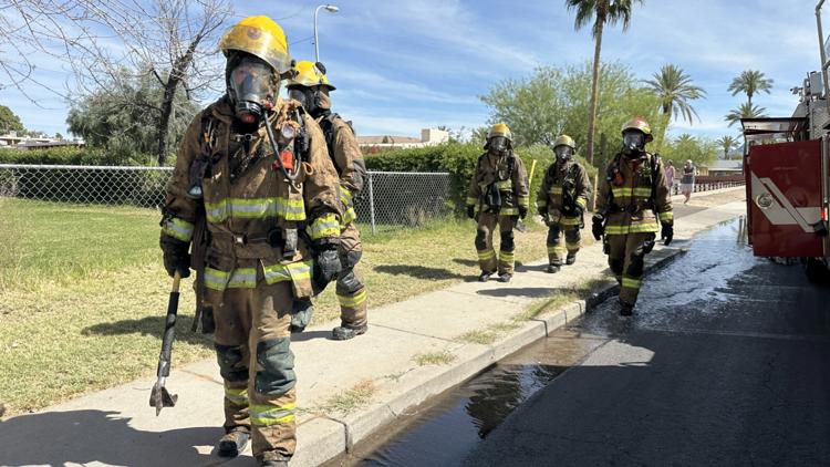 3 cats die after house fire in Phoenix | 12news.com