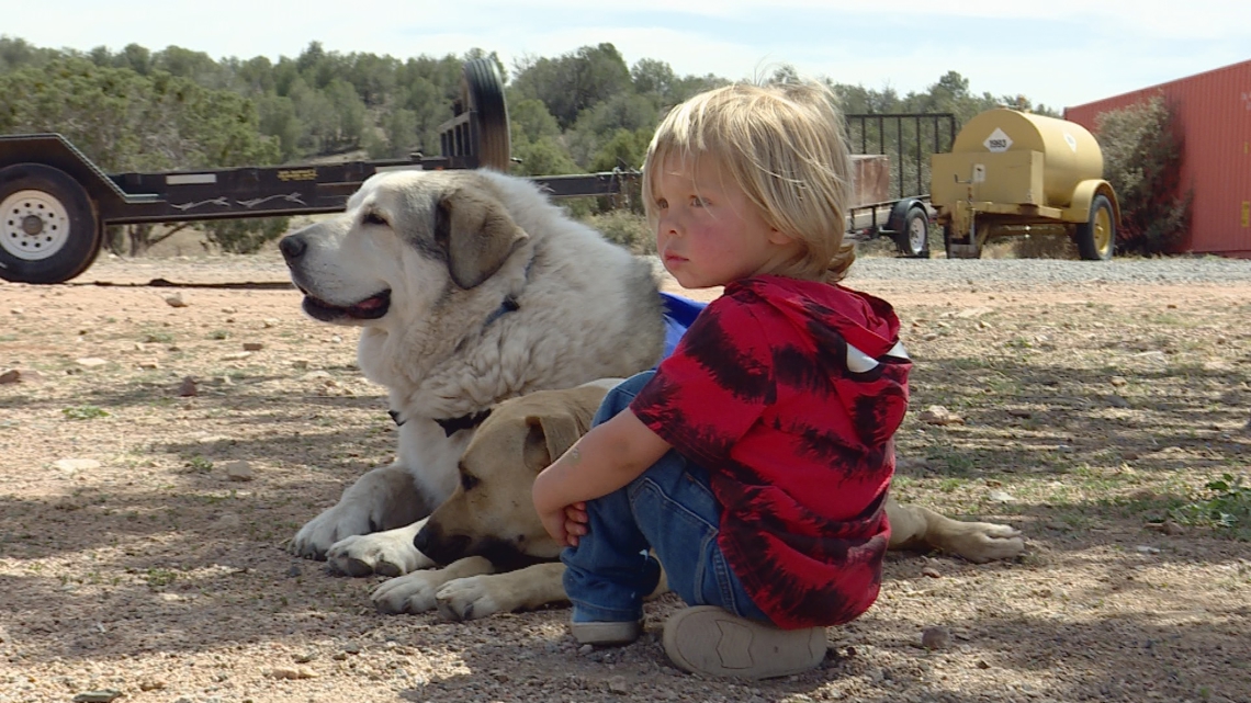 Hero dog Buford rescues missing toddler in Arizona wilderness | 12news.com
