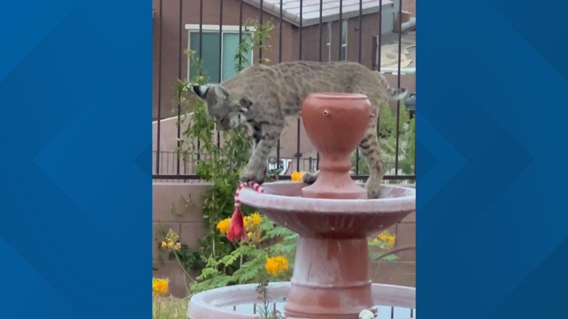 Arizona Diamondbacks reveal purple and teal City Connect uniforms ...