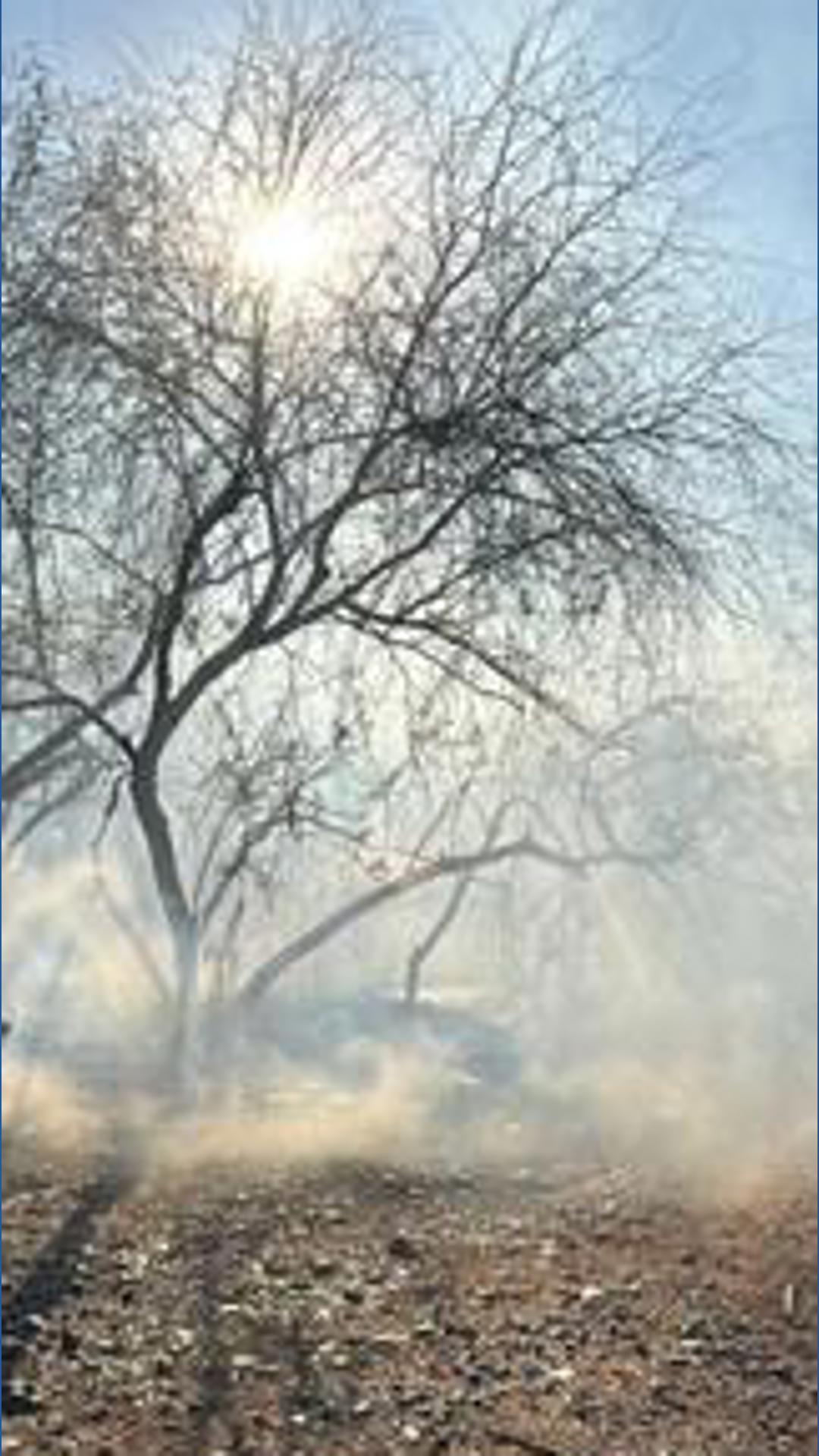Phoenix firefighters respond to large brush fire in river bottom ...