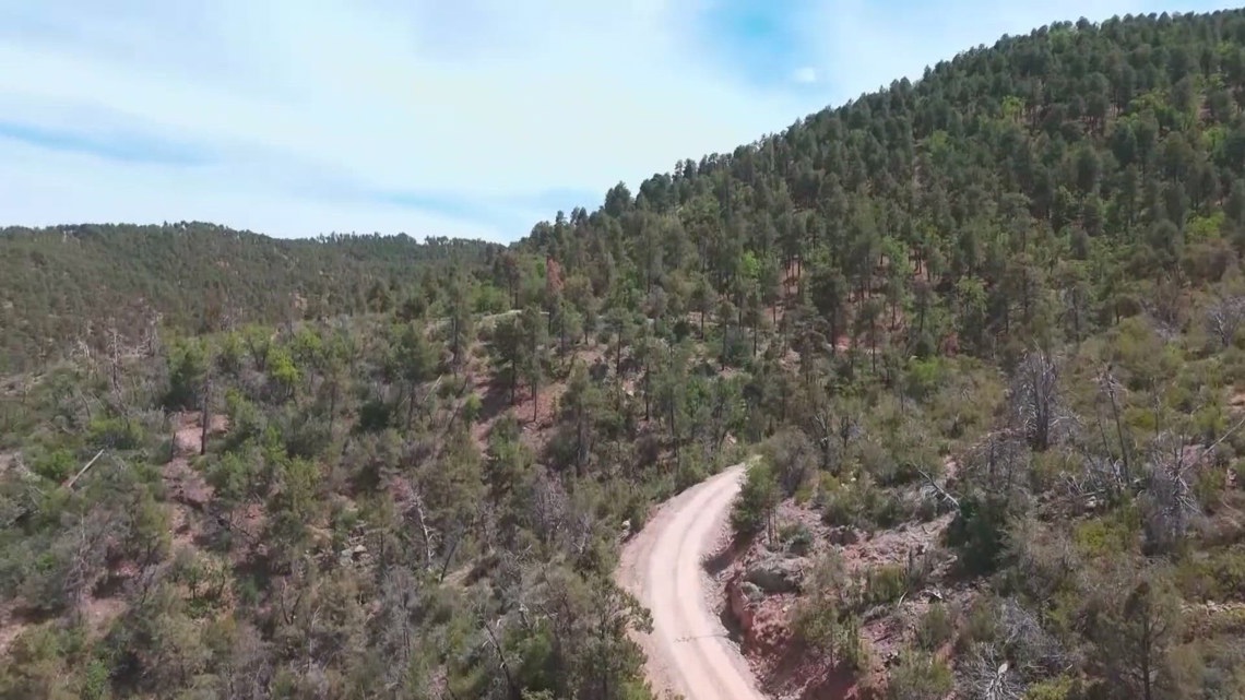 Teens found dead on remote Arizona mountain road | 12news.com