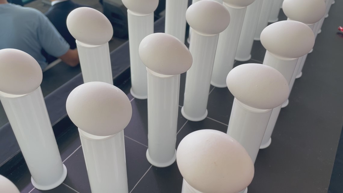 Egg drop experiment at AZ Science Center cracks record | 12news.com
