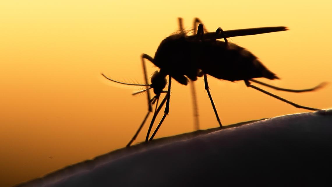 West Nile virus in Missouri: 3 killed, 15 hospitalized | 12news.com
