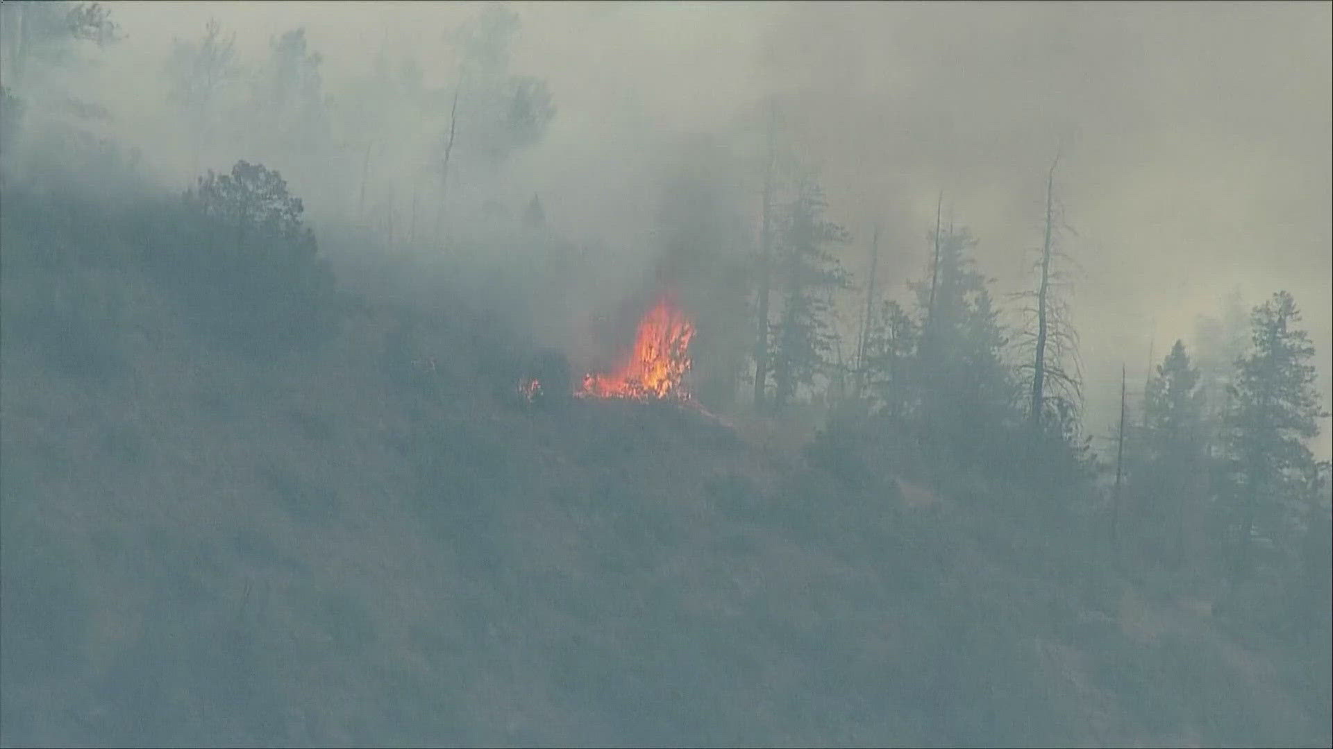 Rattlesnakes are an issue for crews battling wildfire near Denver ...