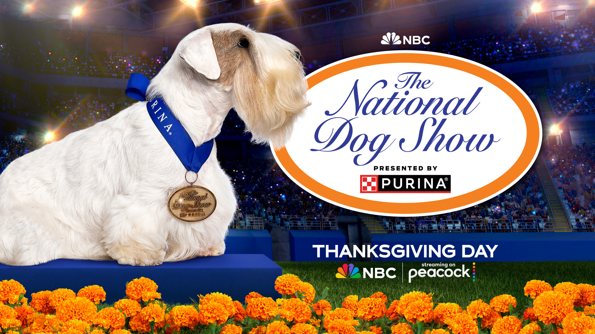 Here's the NBC holiday season TV programming schedule 2024 | 12news.com
