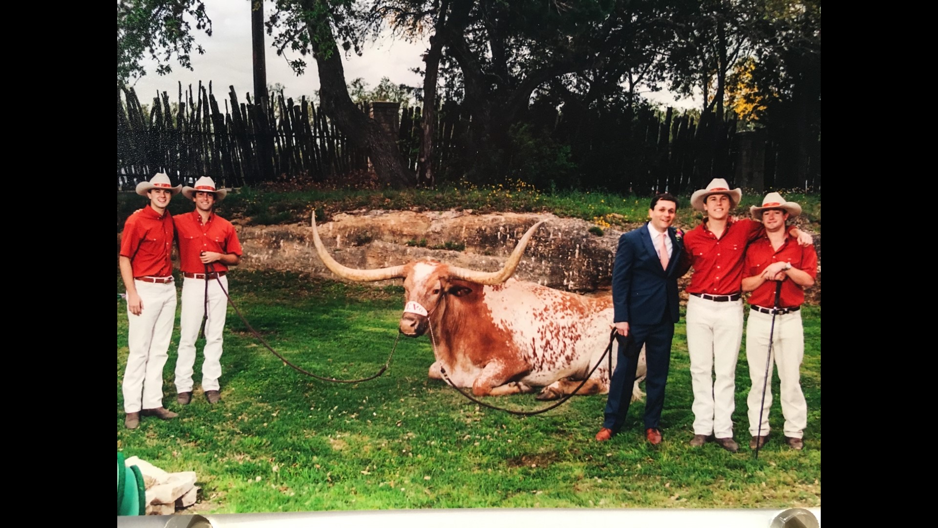Even after his death, Longhorns mascot Bevo XIV could save lives, UT ...