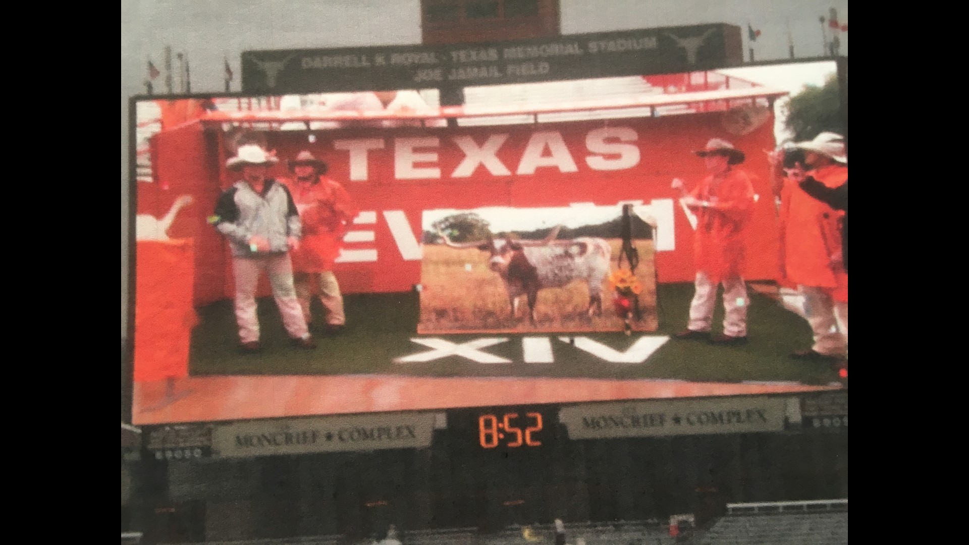 Even after his death, Longhorns mascot Bevo XIV could save lives, UT ...