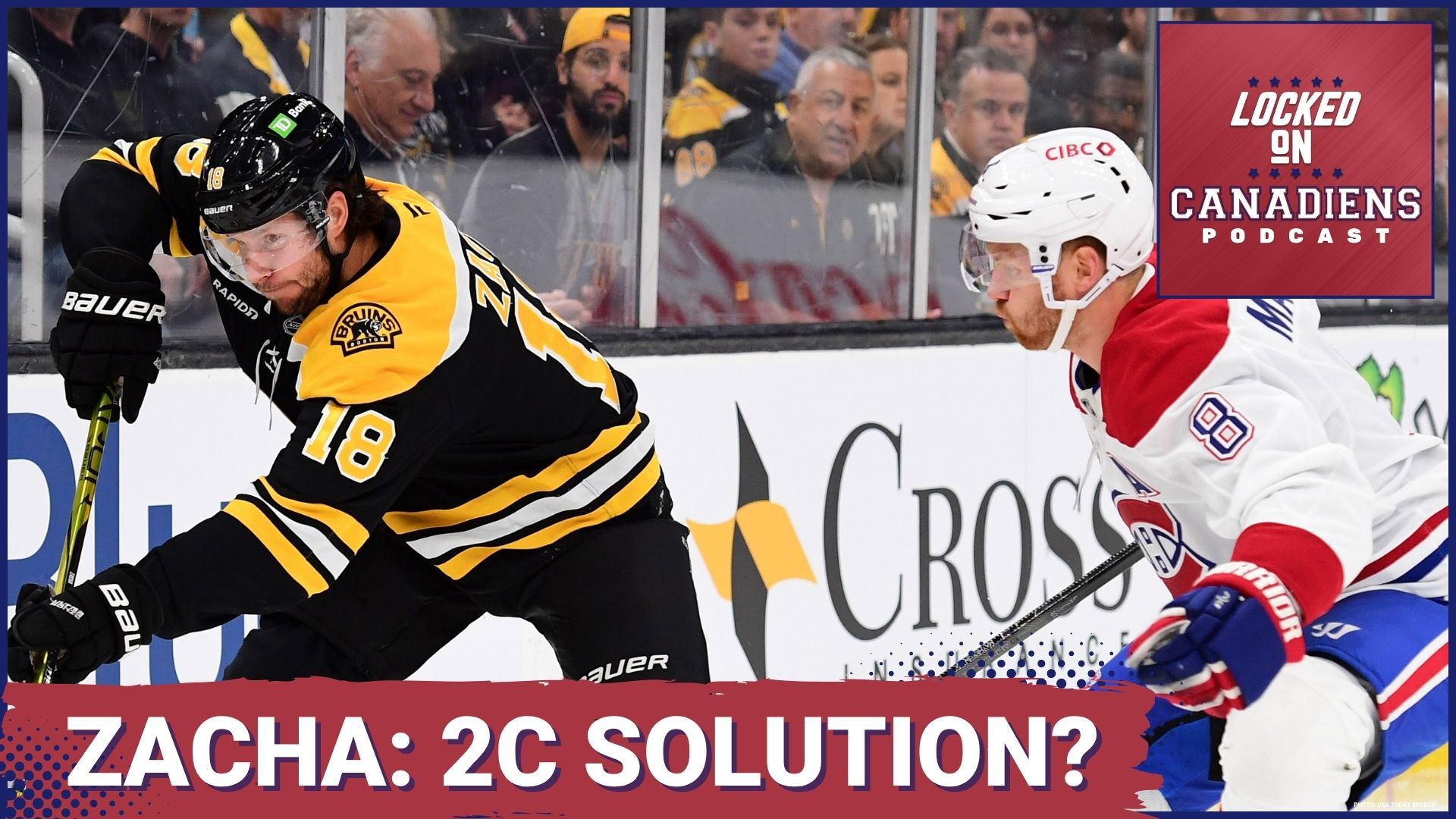 Montreal's Center Search Continues | Is Zacha the Missing Piece ...