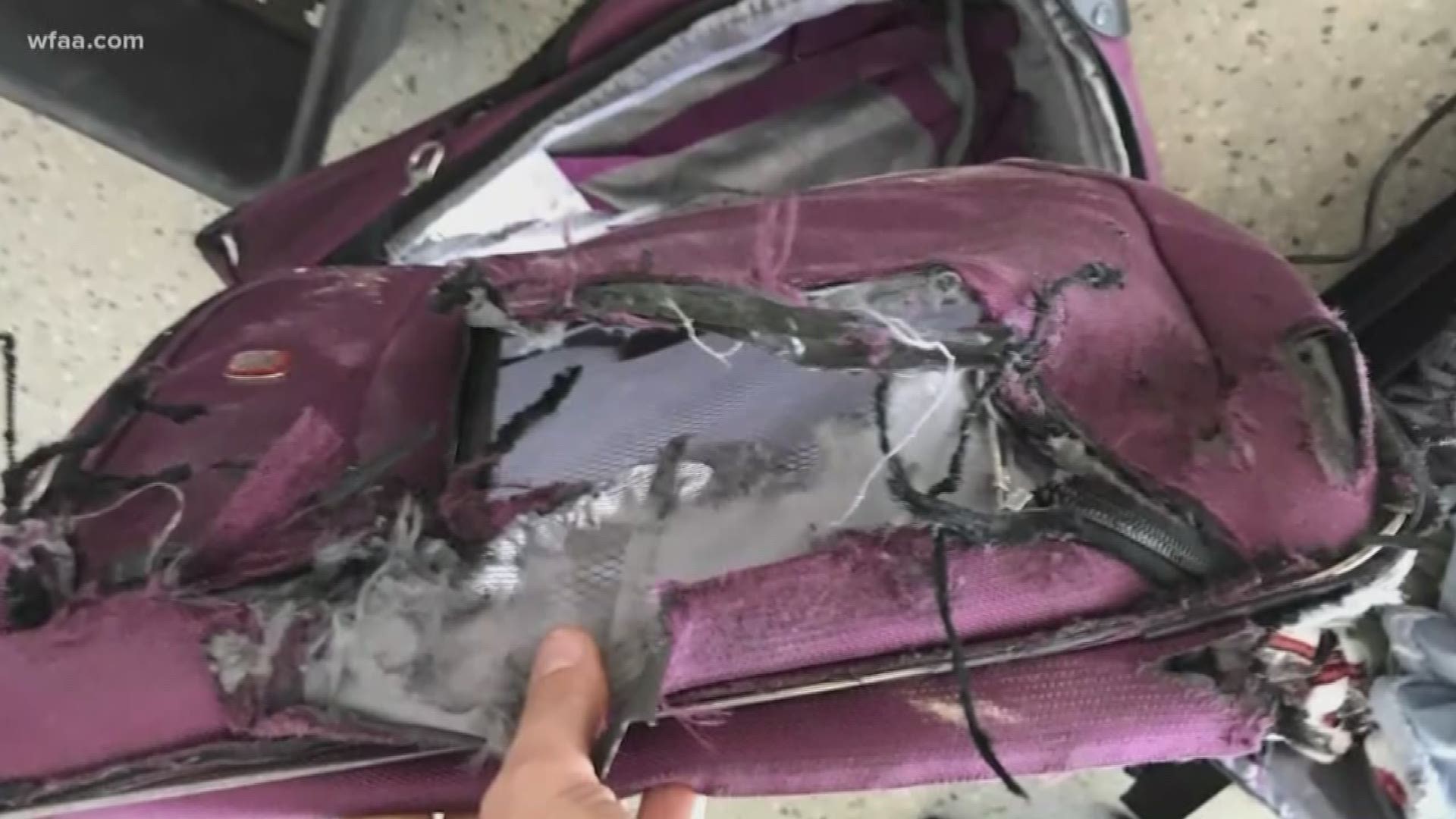 American Airlines apologizes after shredded suitcase greets passenger ...