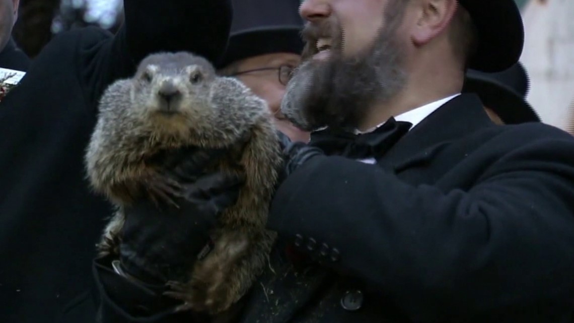 Other jobs for the groundhog? | 12news.com