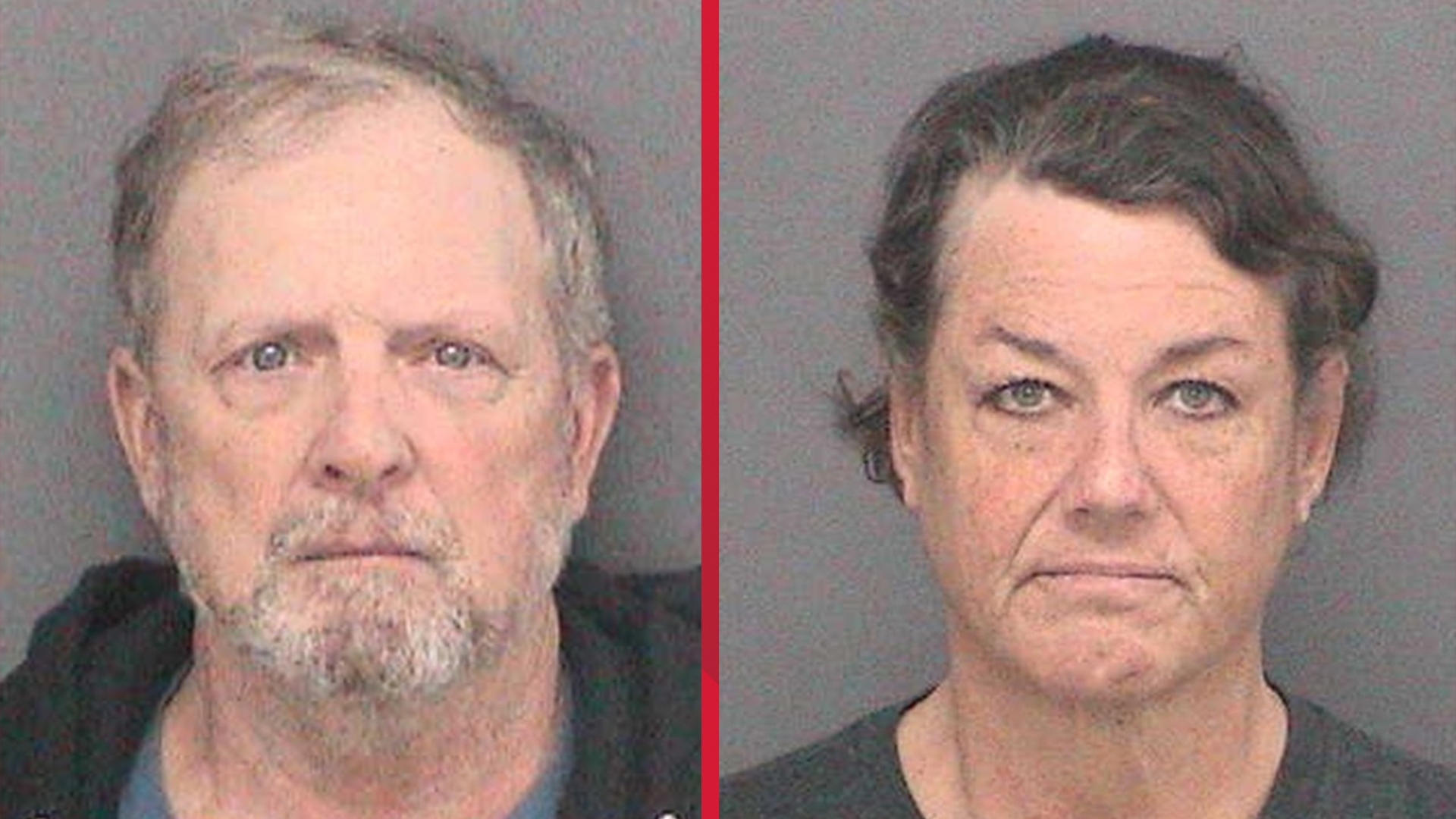 Court docs reveal accusations against Indiana couple facing charges in ...