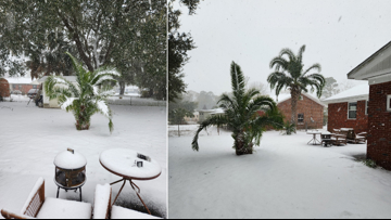 Rediscover AZ: Experience movie magic at Pollack Tempe Cinemas | 12news.com